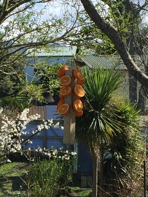 Union Street Hideaway - Waihi