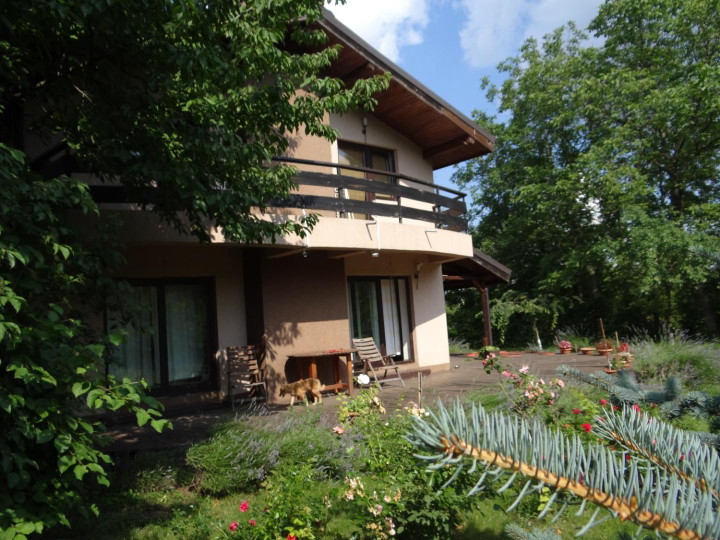 Pensiunea Bamboo - Villa - Comarnic
