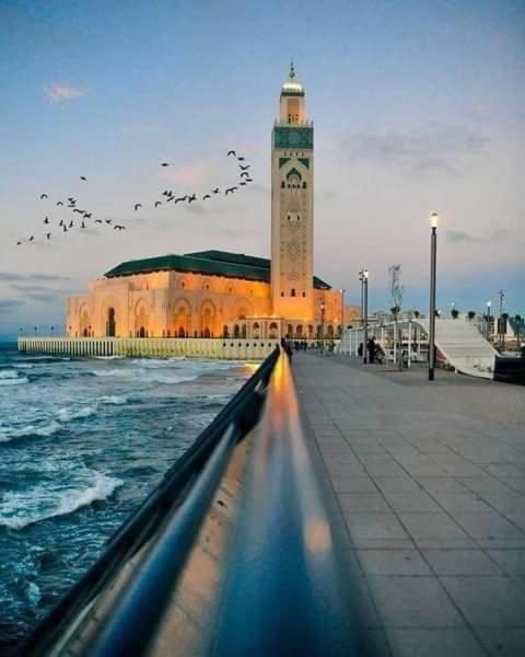 Spacious Beachfront Apartment - Casablanca