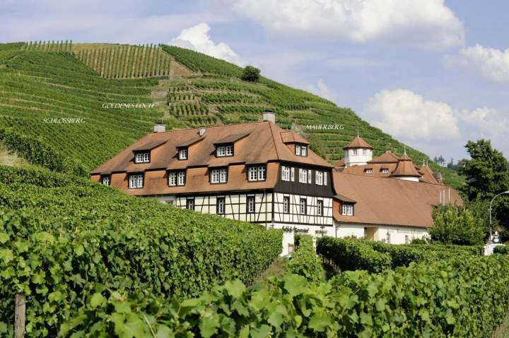 Hotel Residenz Im Schloss Neuweier - Bühl