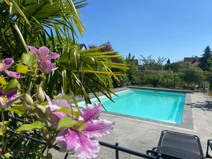 La Tourelle Piscine Privée Parking Privatif Haguenau Proche Strasbourg - Bischwiller