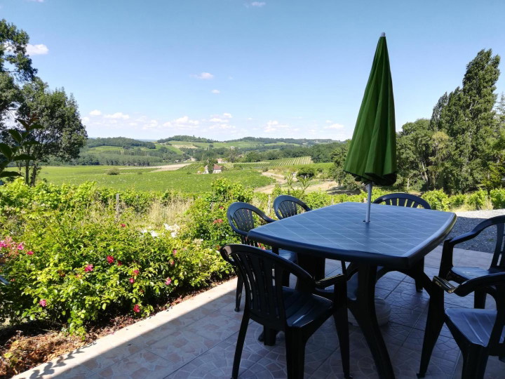 Les Vignes - Aquitaine