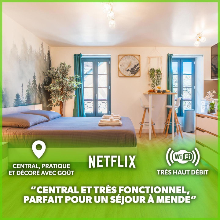 Le Cosygreen - Central/netflix/wifi Fibre - Séjour Lozère - Mende