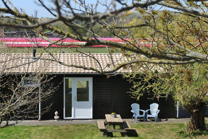 Chalet Egmond - Egmond aan Zee