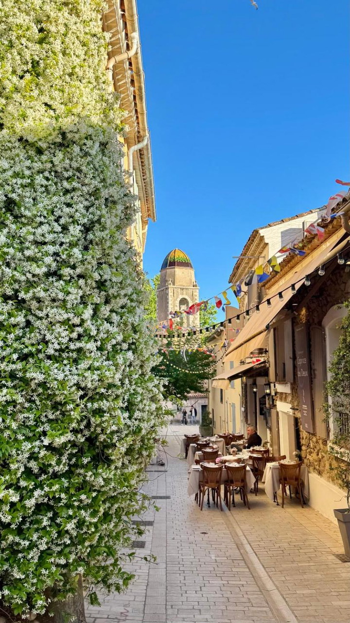Le Figuier Du Clocher - Cœur Du Vieux Village - Saint-Tropez