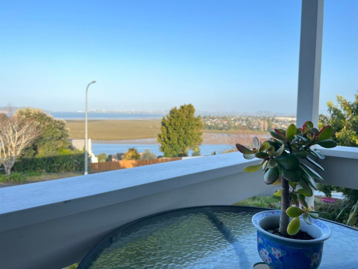 Auckland Sea&skytower View Homestay With Free Netflix, Parking - Auckland
