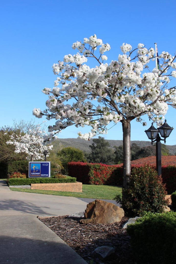 Hume Country Motor Inn Albury - Albury