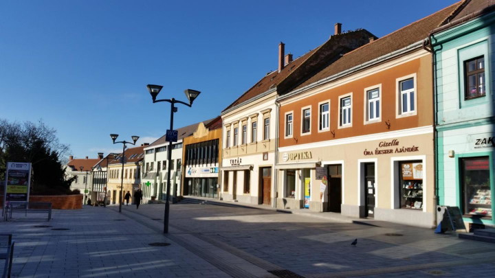 Sarolt Apartman - Bakony