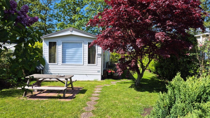 Chalet 532 Op Recreatiepark De Wielen - Schoorl