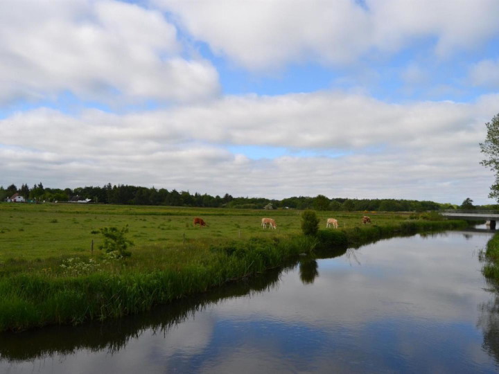 Holiday Home Josina - 32km From The Sea By Interhome - Ribe