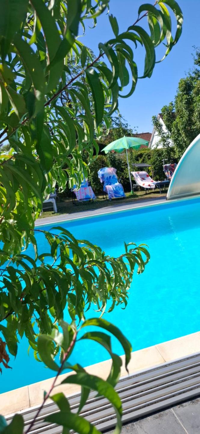 Near Brussels, 4 Rooms, Pool,garden,patio - Leuven (Louvain)