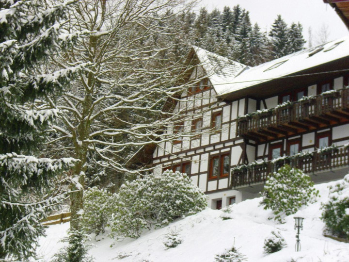 Wohnung In Schmallenberg Mit Gemeinschaftsgarten - Nordrhein-Westfalen