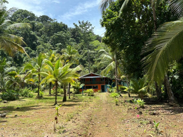 Mar Y Selva - Bahía Solano