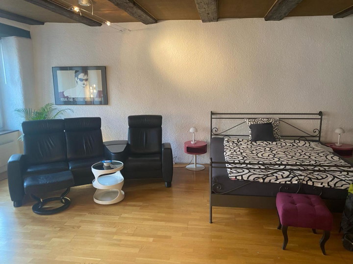 Joline Private Guest Apartment Studio Feel Home - Bienne