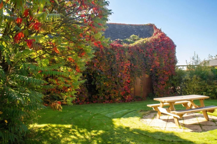 Maison De Charme à Le Mené Avec Jardin - Côtes-d'Armor