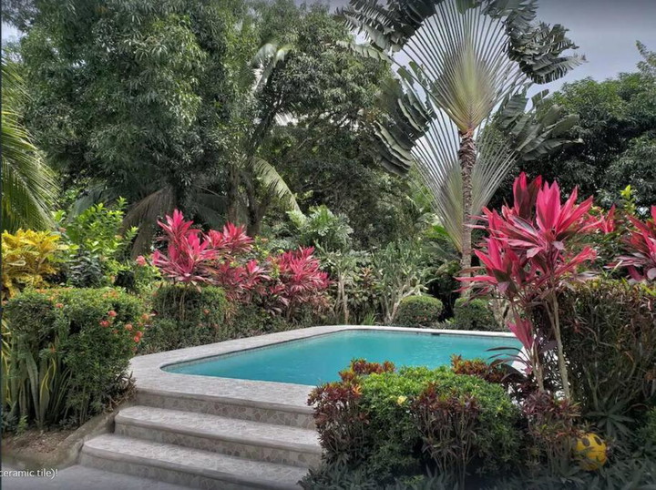 Casa Sammie: True Costa Rica - Costa Rica