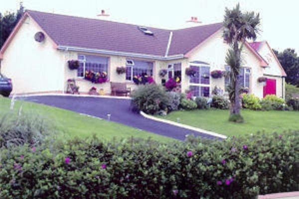 The Yellow Rose B&b - 梅奧郡