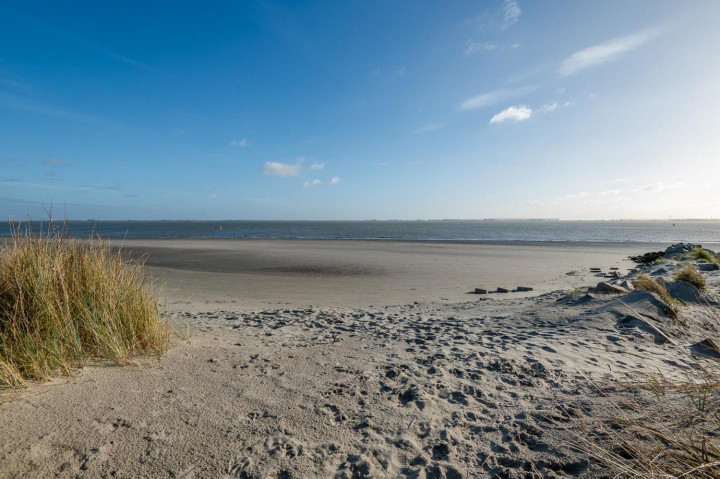 De Strandloper Vakantiehuisje Aan Het Strand - Ferienwohnung Am Meer - Nederland
