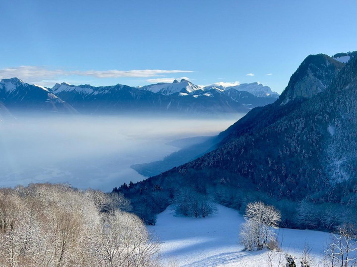 Magnifique Chalet Avec Vue Panoramique Sur Le Lac Léman - Lausanne