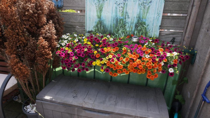 Amsterdam Roof Terrace B&b - Amsterdam