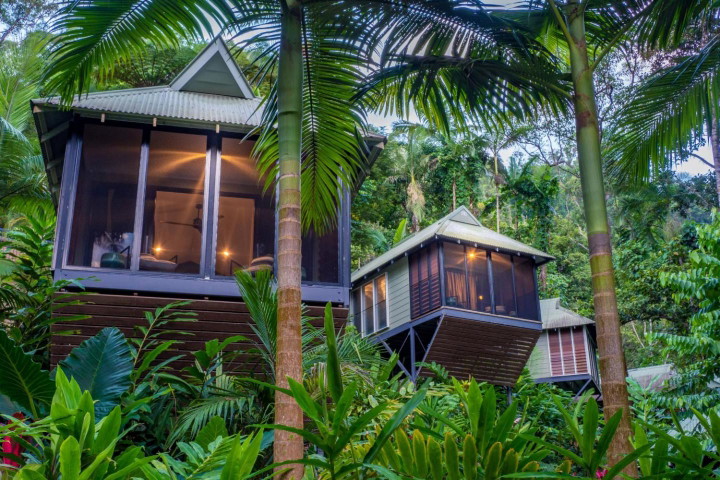Daintree Ecolodge - Daintree