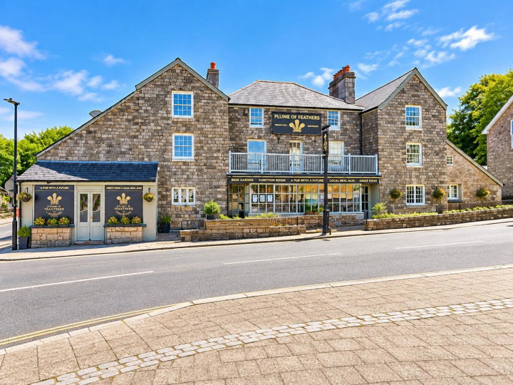 Plume Of Feathers Dartmoor - Devon