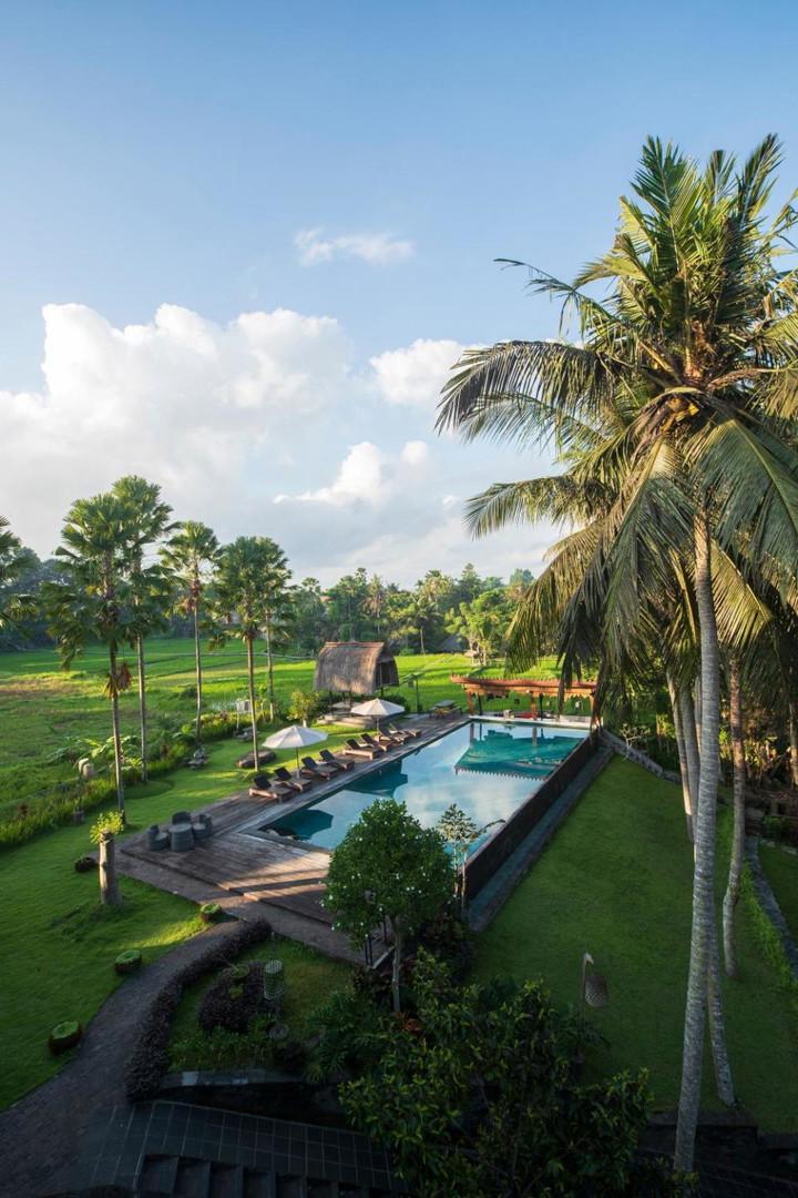 The Artini Dijiwa Ubud - Ubud