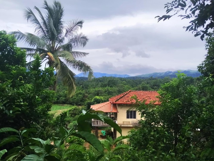 Mandagadde Homestay Sringeri - Sringeri