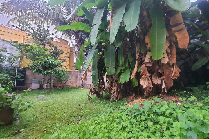 Vintage Vihara: The Heritage Bungalow - Bangalore