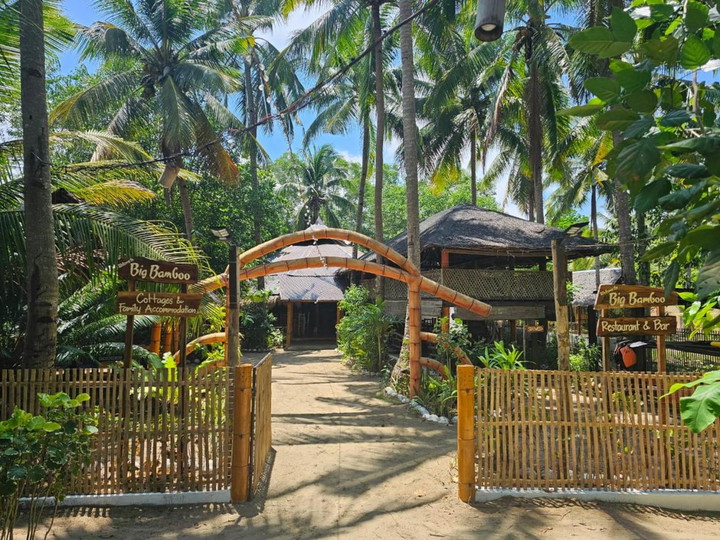Big Bamboo Beach Resort Sipalay - Sipalay