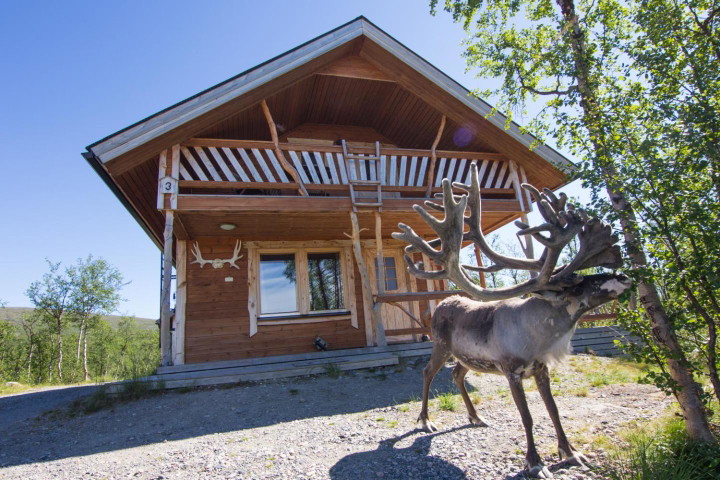 Saivaara Mökit - Lappland