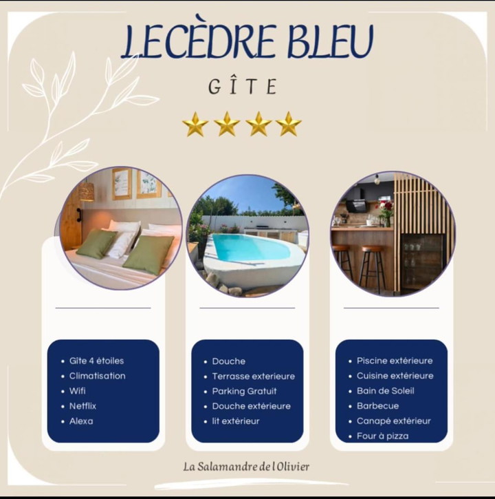 La Salamandre De L Olivier - Le Cèdre Bleu - Sisteron