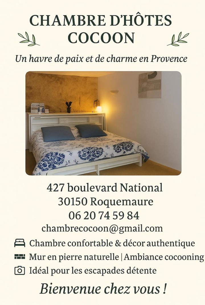 Chambre Cocoon - Avignon