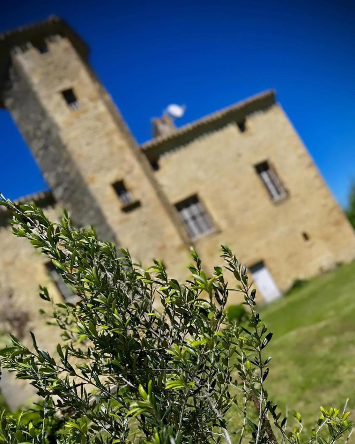 Le Domaine De Pépé - Mirepoix
