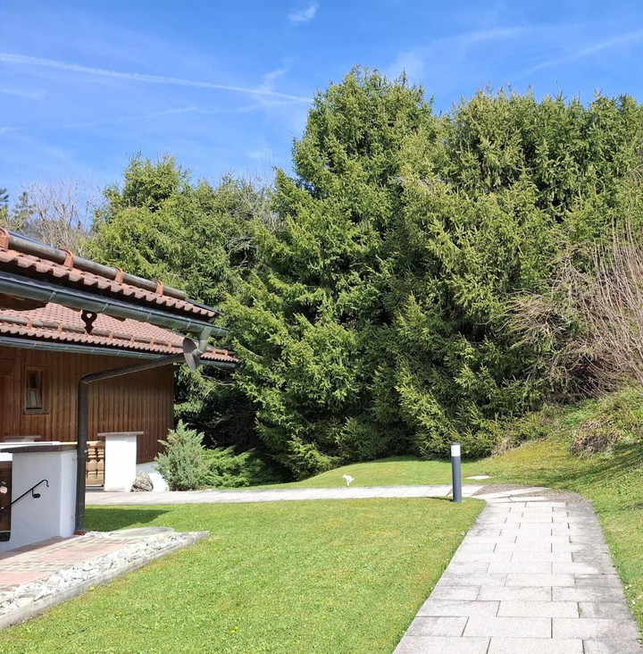 Bodenschneidsuiten Luxburg - Tegernsee
