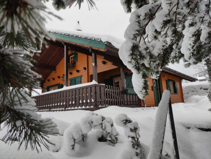 Haus Otis - Bad Mitterndorf