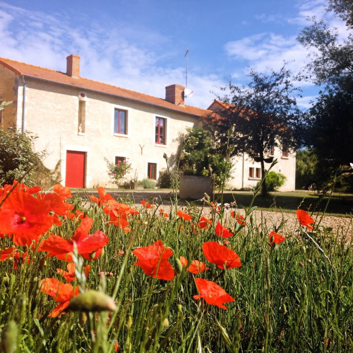 Au Repos Des Elfes - Loudun