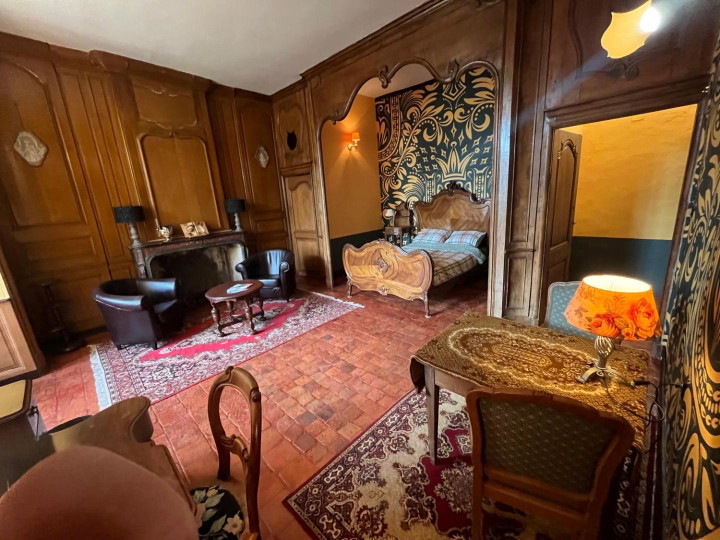 Chateau D'albon - Henri Ii - Roanne