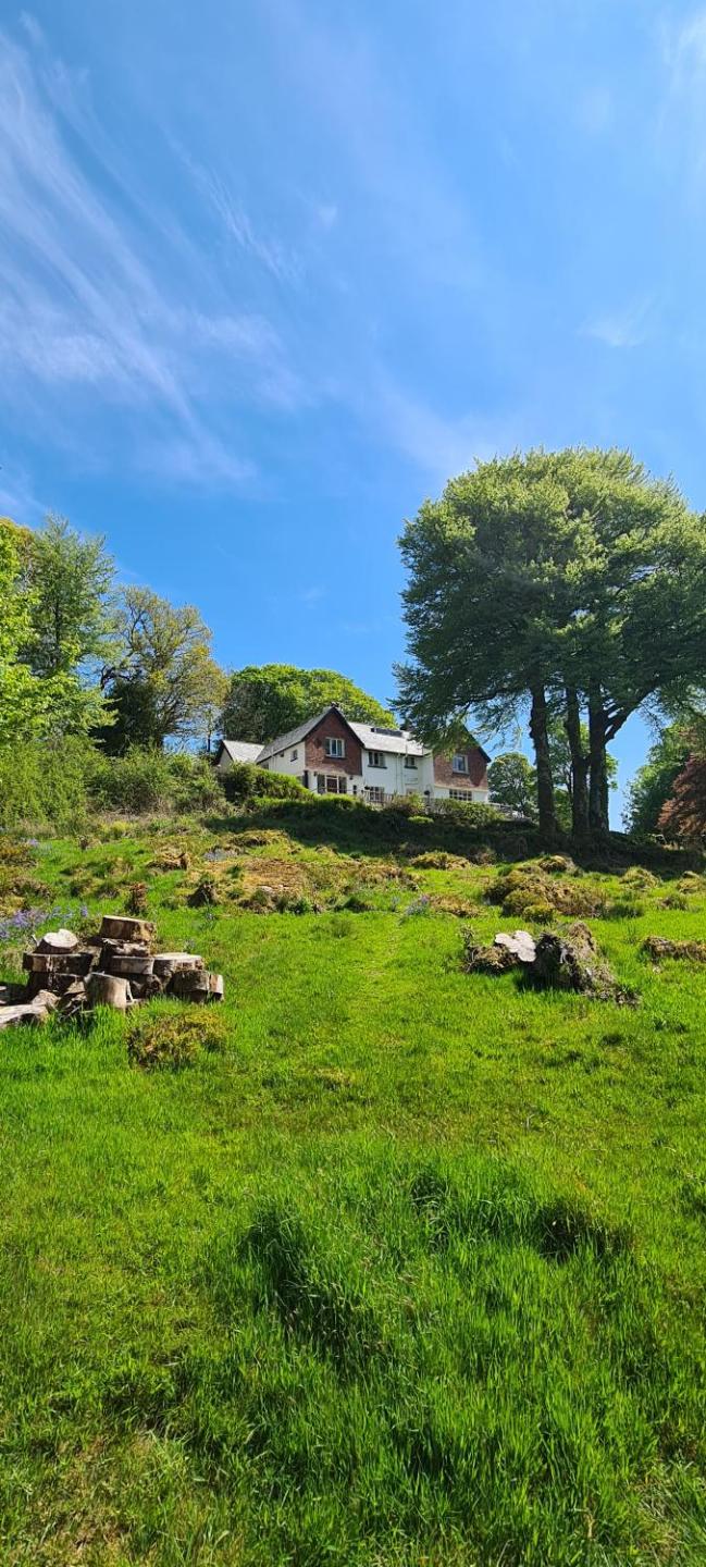 Lydgate House Hotel - Dartmoor Forest