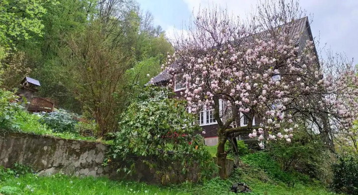 Haus Am Wald Zorge 16+ Gäste - Germany