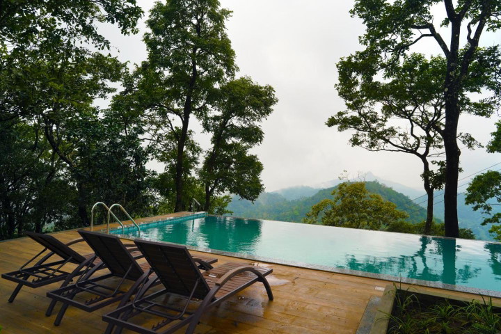 Elephant Passage - Munnar