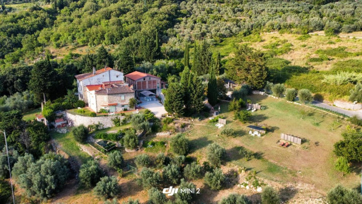 Florence Villa Violetta - Tuscany