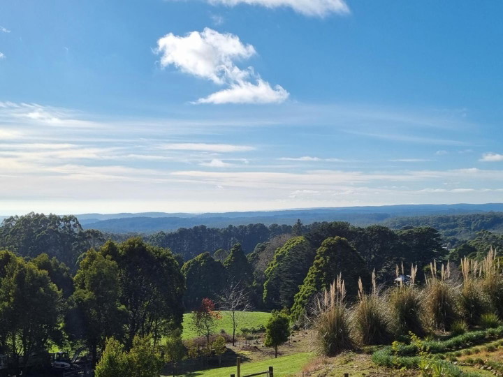 Beech Forest Cottage (Cozy Otways Accommodation) - Great Ocean Road