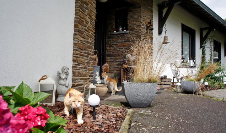 B&b Au Coq En Pate - Jalhay