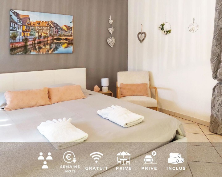 Le Cocon Appart Avec Parking Privé & Terrasse - Ammerschwihr