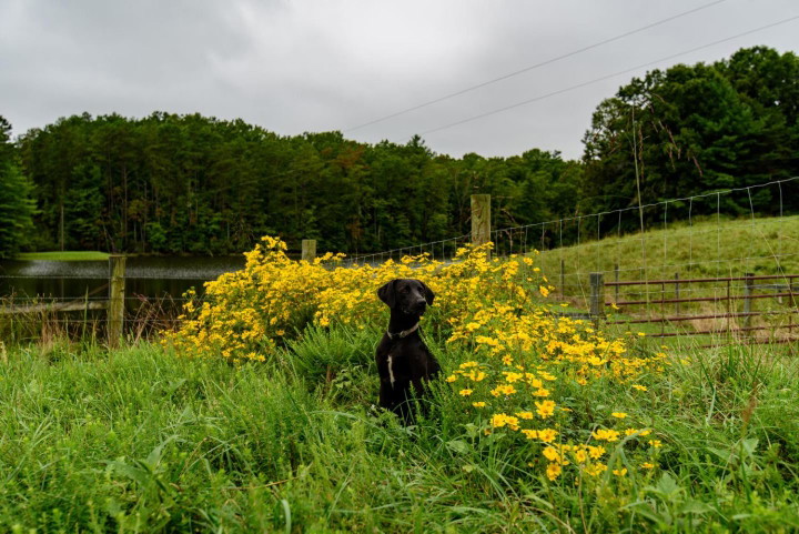 Wolf Creek Farm B&b And Motorcycle Manor At Wolf Creek Farm, Llc -