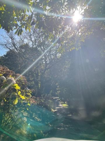 Cabana Austríaca No Vale Encantado - Campos do Jordão