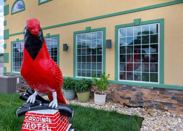 Cardinal Motel Bowling Green - Bowling Green