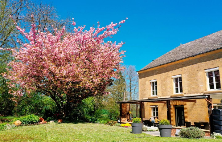 Gîte Le Moulin De Warnécourt - Ardennen