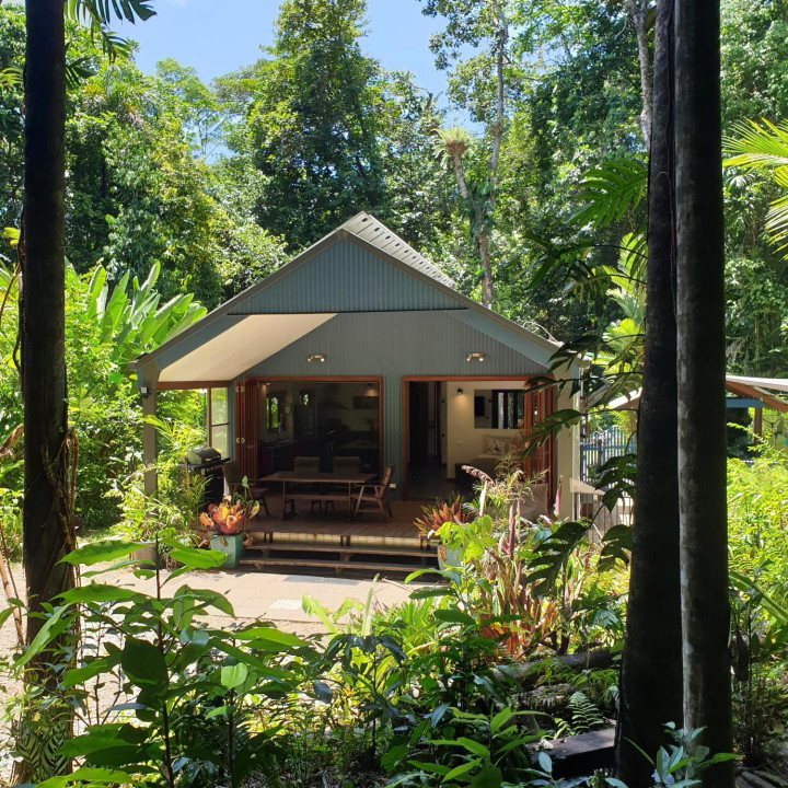 Forest Views - Daintree